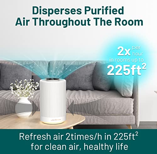 2 Pack Air Purifiers for Small Room-Jafanda H13 True HEPA Filter Air Filters for Home Remove 99.97% Allergies Dander Dust Smoke Pollen Pets Hair, Black and White