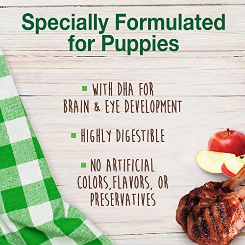 Nylabone Healthy Edibles All-Natural Puppy Chew Treats for Large Breed Puppies Lamb & Apple Medium 2 Count (Pack of 1)