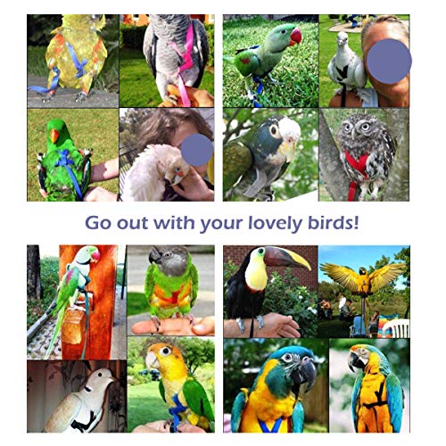 SZSJBK Bird Harness, Adjustable Parrot Nylon Leash with Anti-bite Design for Outdoor Activities Training, Suitable for Eastern Bluebonnet Parrot, Cockatoo, Parakeet, Doves 6.2ft (S)
