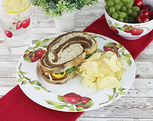 Reston Lloyd Harvest Apple by Sandy Clough, 6pc Melamine Dinner Plate Set, white, red, green