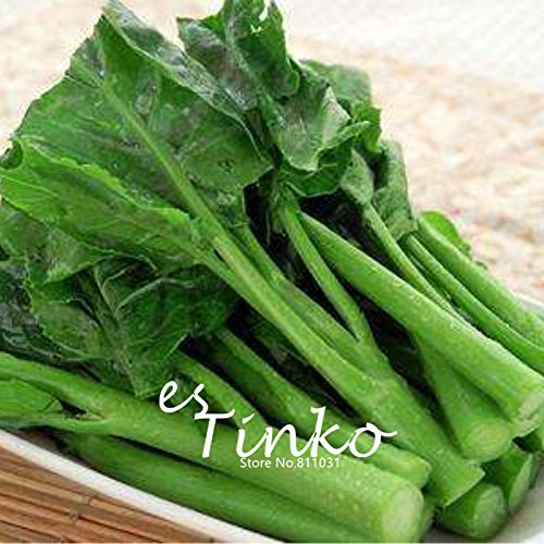 100pcs Chinese Kale Seeds Cabbage Mustard Green Vegetable Seeds Home Garden Bonsai Hot Resistant Vegetable Potted Plant DIY