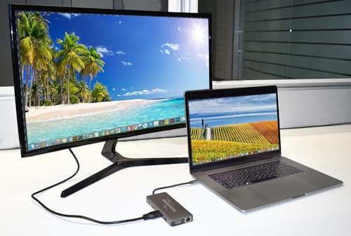 Tecnoware Hub USB Type-C, 13 in 1 Adapter, Compatible with MacBook, Notebook, iPad, Windows, Huawei ecc. 13 Ports: USB 2.0/3.0, USB Type-C, Ethernet, HDMI 4K, Card Slot SDXC, Micro SD, Jack Audio.