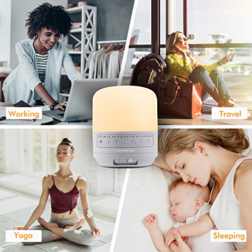 LiviNGPAi White Noise Machine with Adjustable Night Light, 35 High Fidelity Soothing Sounds, 0-100 Dimmable Color Changing Light, Portable Sleep Noise Maker Machine for Home, Office, Travel