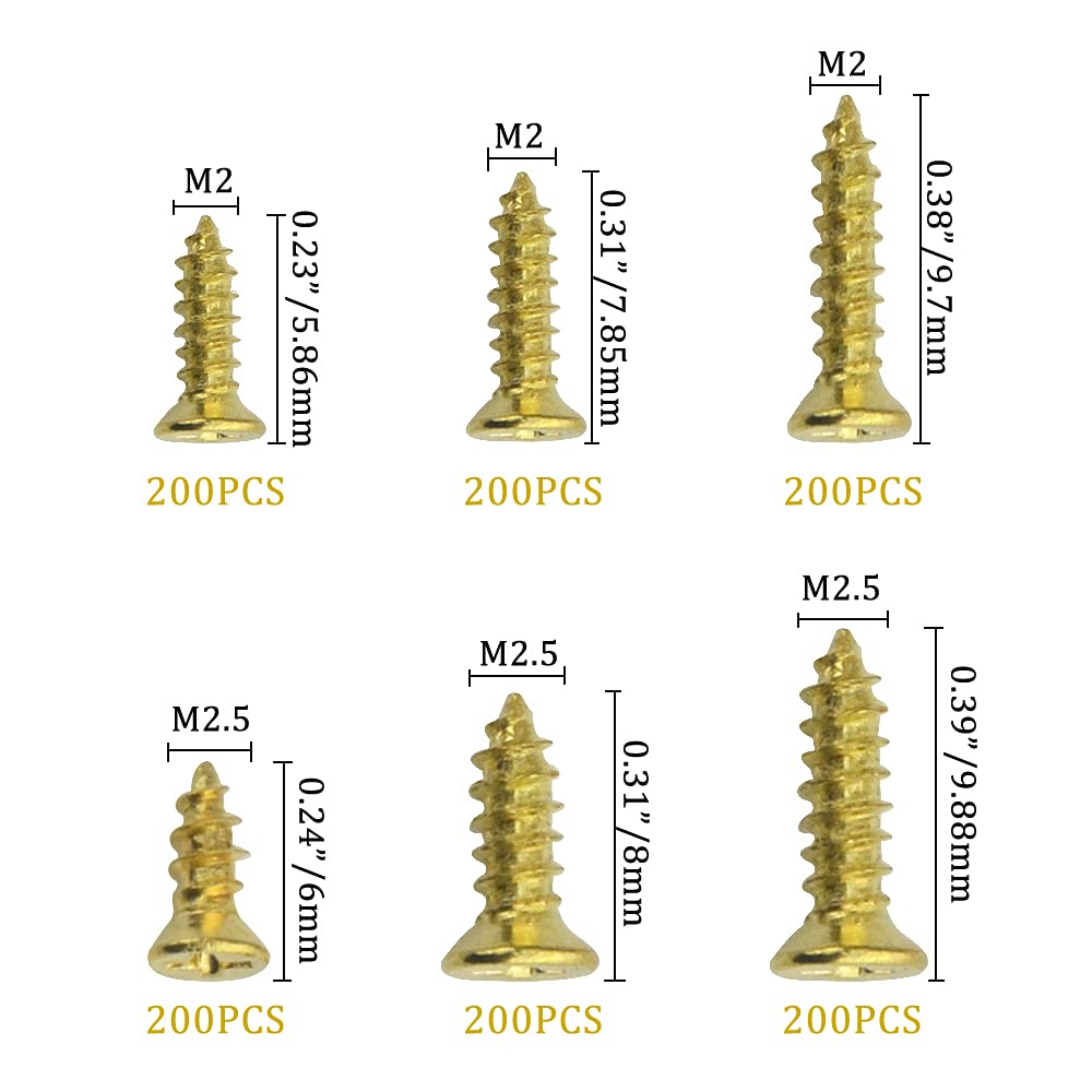 XINGYHENG 1200pcs 6 Kinds M2 M2.5 Gold-Plate Carbon Steel Flat Head Self Tapping Screw Stainless Cross Recessed Pan Head Screw Assortment Kit Collected in A Convenient Case