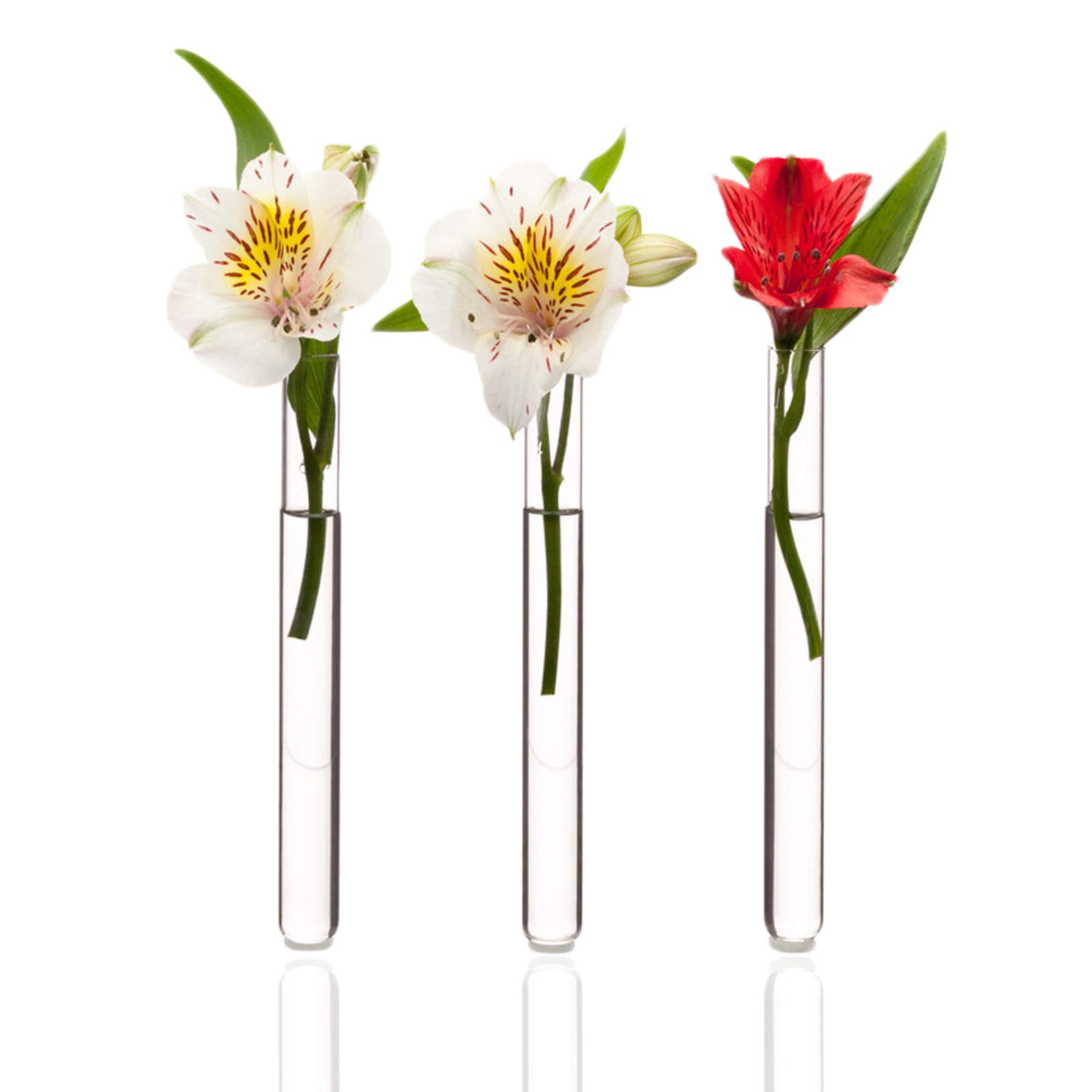 20x150mm 35ml Glass Test Tubes,20 Pcs Glass Test Tube with Cork Stoppers for Bath Salts,Candy Storage,Plants,Science Themed Party and Home Decoration