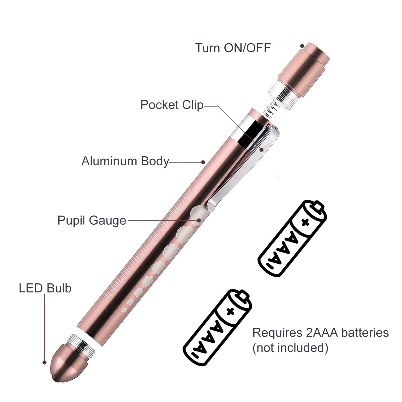 Sunchova Medical Penlight and Pupil Gauge for Medical Nurses,Doctors,Nursing Students and EMT's