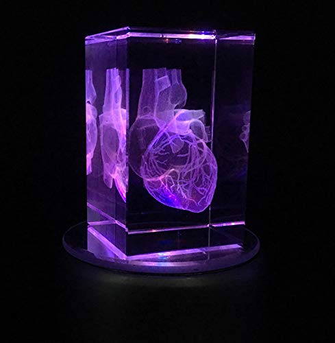 3D Human Heart Anatomical Model Paperweight(Laser Etched) in Crystal Glass Cube Science Gift (No Included LED Base)(3.1x2x2 inch)