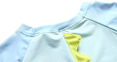 Baby Toddler Boys Two Pieces Swimsuit Set Boys Dinosaur Bathing Suit Rash Guards with Hat UPF 50+ FBA (Green Dinosaur, 2-3 Years)