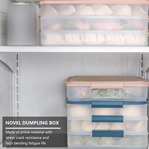 HEMOTON Plastic Food Storage Containers Dumpling Box Food Freezer Box Keep Fruits Vegetables Meat And More Kitche Fridge Freezer (Meat meal)