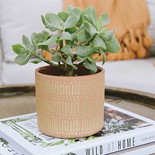 Main + Mesa Stoneware Pots with Gold Pattern, Set of 2