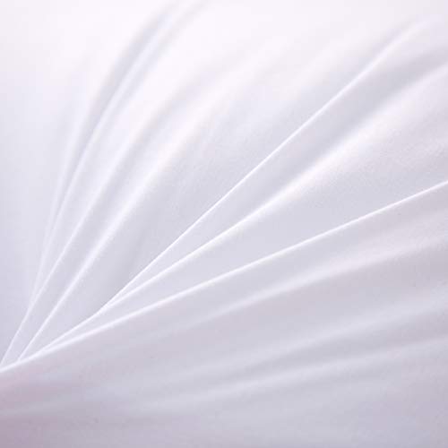 Acanva Throw Pillow Inserts, Couch Pillow Inserts with Hypoallergenic Polyester, 12" L x 20" W