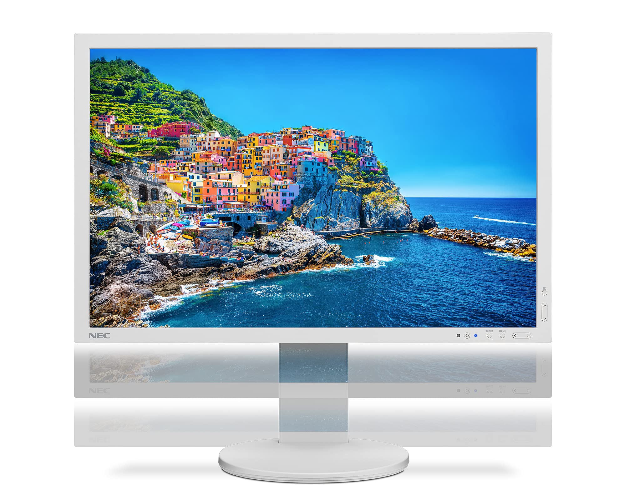 24IN WS LCD 1920X1200 PA243W DP