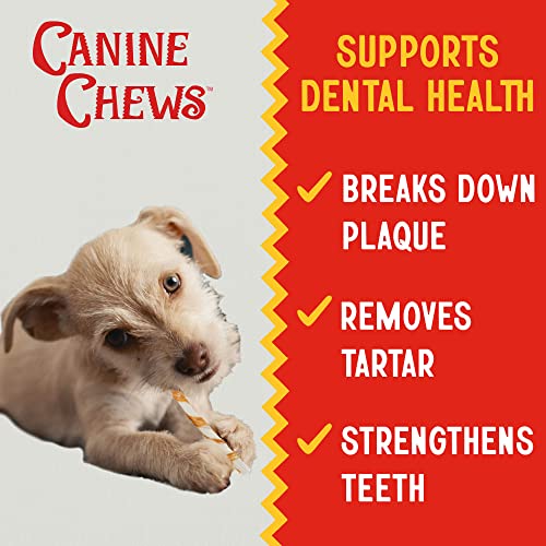Canine Chews Chicken-Wrapped Rawhide Twists for Dogs - Pack of 100 U.S.A. Sourced Chicken Wrapped Rawhide Dog Treats, Sticks for Dogs - Premium & Natural Beefhide Chews