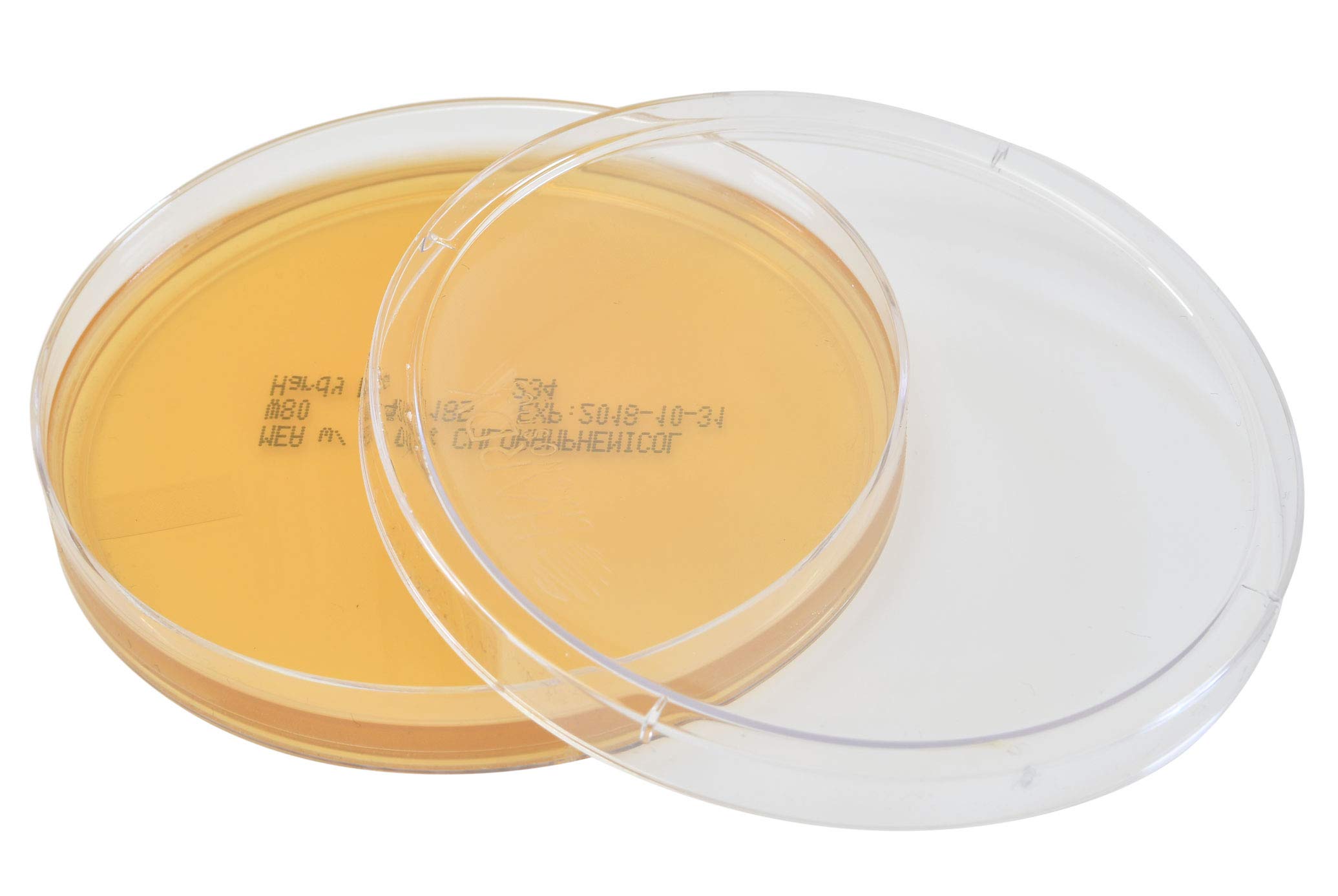 Malt Extract Agar with 0.01% Chloramphenicol, deep fill, for the cultivation, isolation, and maintenance of yeasts and molds, 15x100mm prepoured plate, order by the package of 10, by Hardy Diagnostics