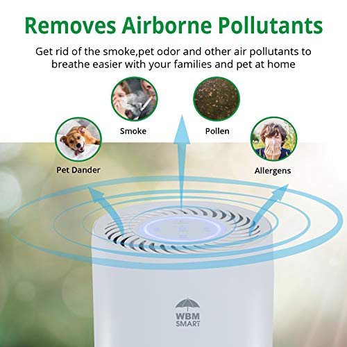 HEPA Filter Air Purifier for Extra Large Room, 25db Quiet Cleaner for Virus, Bacteria, Pollen, Smoke, Dust, White