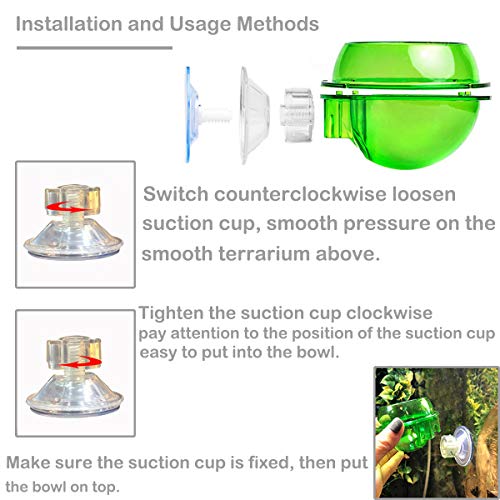 HERCOCCI 2 Pack Chameleon Bowls, Reptile Ledge Feeder Suction Cup Worm Bowl & Water Dish Supplies for Chameleon Lizard Bearded Dragon Gecko Snake
