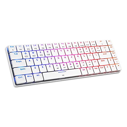 HUO JI 60% Compact RGB Wireless Mechanical Gaming Keyboard, Blue Switches, Bluetooth 5.0, Wired Keyboard 69 Keys for PC Tablet Laptop Cell Phone, White