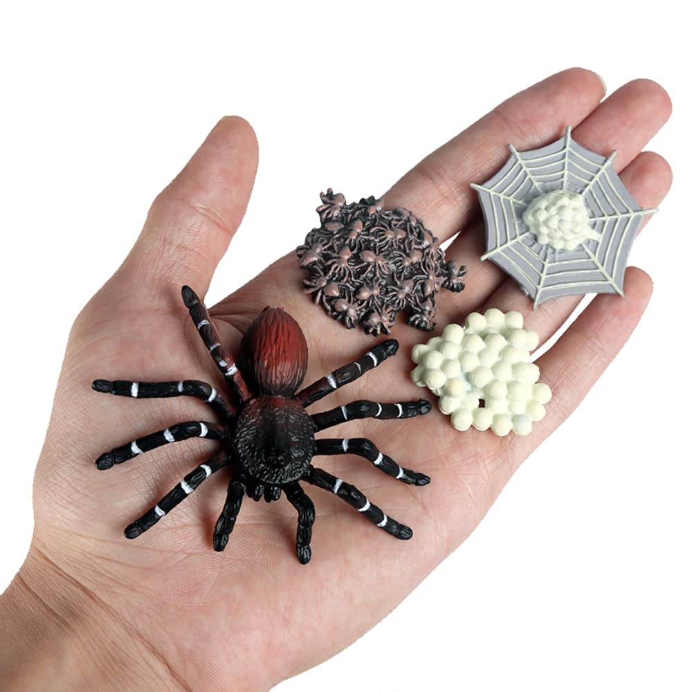 20 PCS Life Cycle Figurines of Butterfly Spider Bee Ladybug Dragonfly, Plastic Insect Bug Figures Toy Kit, Early Education Growth Stage Model Biology Science Toys School Project for Kids Toddlers