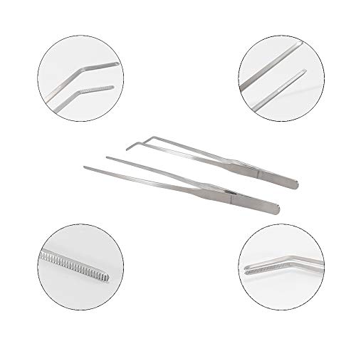 YOGURTCK Stainless Steel Long Reptile Tweezers Feeding Tongs for Snake Lizards Gecko and Bearded Dragon Leopard Spider Terrarium Supplies 2pcs - Silvery