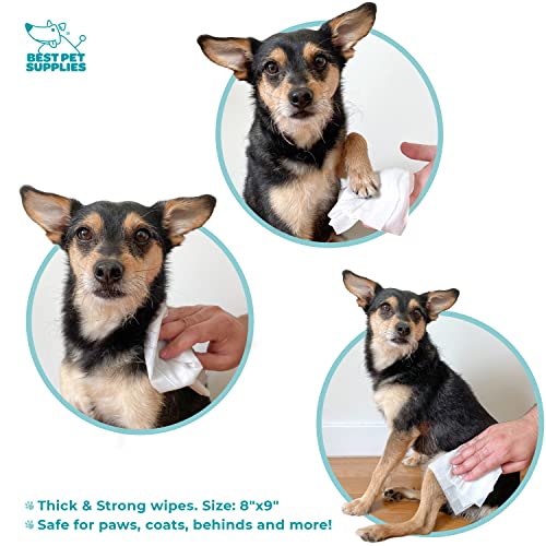 Best Pet Supplies Coconut-Scented Moisturizing Pet Wipes for Dogs & Cats – Extra Soft & Strong Grooming Wipes with Gentle Plant-Derived Formula, Model Number: WW-CO-100 Count (Pack of 1)