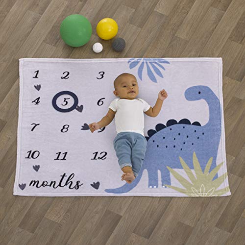 Carter's Dino Adventure Gray & Blue French Fiber Baby Milestone Blanket, Grey, Blue, Navy