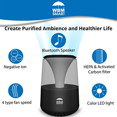 WBM Smart Hepa Air Purifier, with Bluetooth Speaker, Black