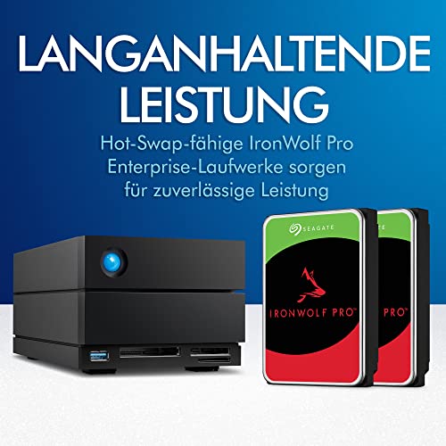 Seagate LaCie 2big Dock 20TB External HDD - Thunderbolt and USB4 Compatibility, Data Recovery (STLG20000400)