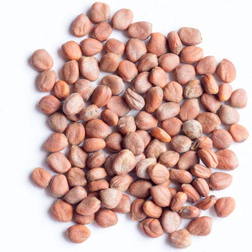 Nature Jims Radish Sprout Seeds β 16 Ounce Organic Sprouting Seeds β Non-GMO Premium Radish Seeds β Resealable Bag for Longer Freshness β Rich in Vitamins, Minerals, Fiber