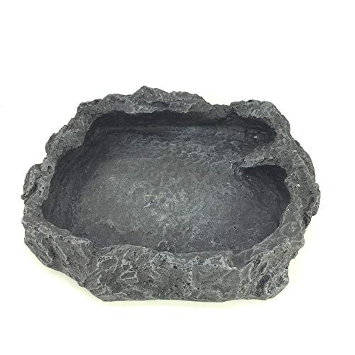 Shelltech Reptile Water Dish Food BowlTerrarium Bowl for Tortoise Frog Snake Gecko Lizard Spider Chameleon Scorpion (5.7" L x 4.7"W x 1.3" H)