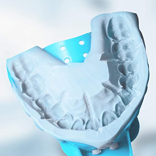 JMU Dental Impression Tray 12 Pcs, Perforated Disposable Impression Trays, 4 Medium Lower