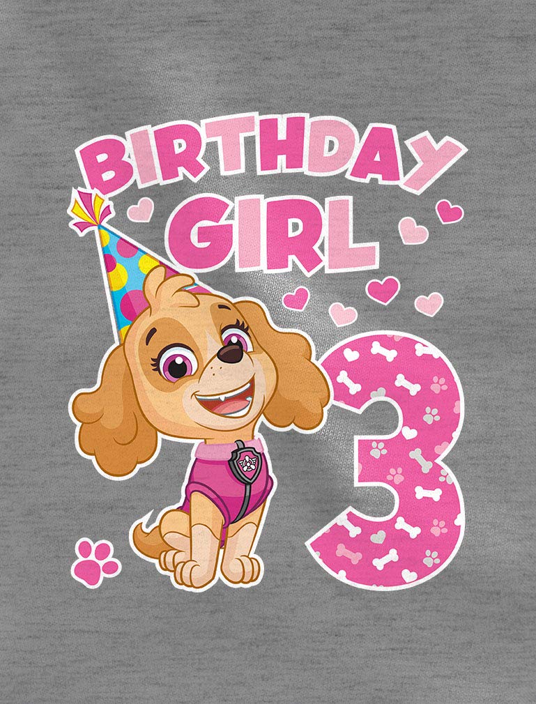 Birthday Girl Paw Patrol Skye 3rd Birthday Toddler Kids Sweatshirt 3T Black