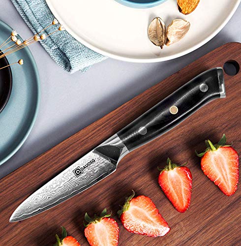 DDAUOSG Paring Knif 3.5 inch Japanese VG10 Super Steel 67 Layer High Carbon Stainless Damascus Steel Peeling Utility knives
