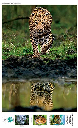 Buffalo Games - Allure of The Untamed - 500 Piece Jigsaw Puzzle
