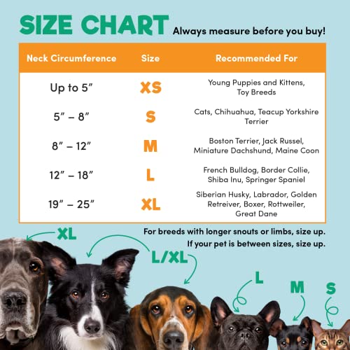 BENCMATE Protective Inflatable Collar for Dogs and Cats - Soft Pet Recovery Collar Does Not Block Vision E-Collar (Large, Grey)