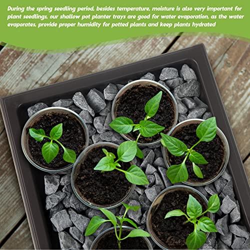 2 Pack Bonsai Humidity Tray 9 Inch Drip Tray Rectangular Plastic Plant Water Catcher Tray Plant Saucers for Indoors and Outdoors Cactus, Succulents, Bonsai Tree, Houseplants Drainage and Moisture