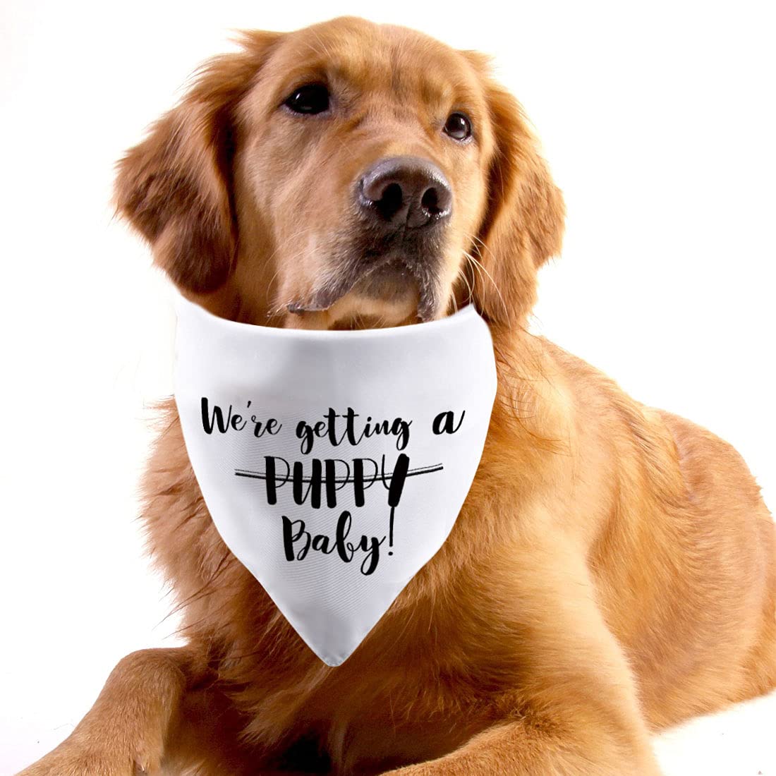 2 Pack We’re Getting a Puppy Baby Dog Bandana Pregnancy Announcement Baby Announcement Gift (Getting a Puppy Baby 2 pack)