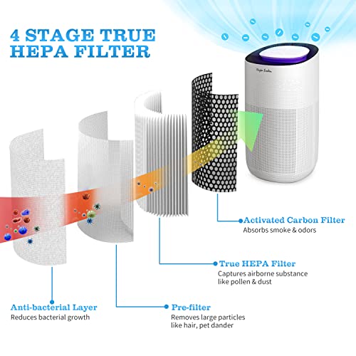 Air Purifiers for Home Large Room up to 1076 sq.ft, 400+m³/h UV Light for removing Allergens, Smoke, Dust, Odors, Pollen, Pet Dander
