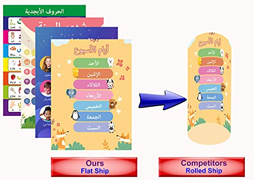 Dosmaxx 10 Large Arabic&English Educational Posters for Kids,Arabic Alphabet for Kids,Preschool, Homeschool,and Elementary Classroom Displays,Teach Numbers,Colors,Animals,Arabic Letters,Weather