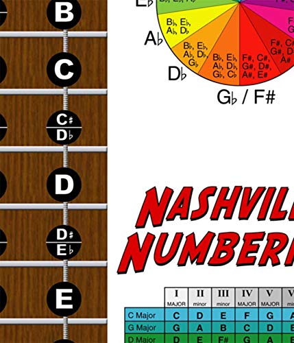 5 String Bass Fretboard Poster - Nashville Numbering System, Circle of 5ths, Notes Instructional Chart | A New Song Music | 11x17