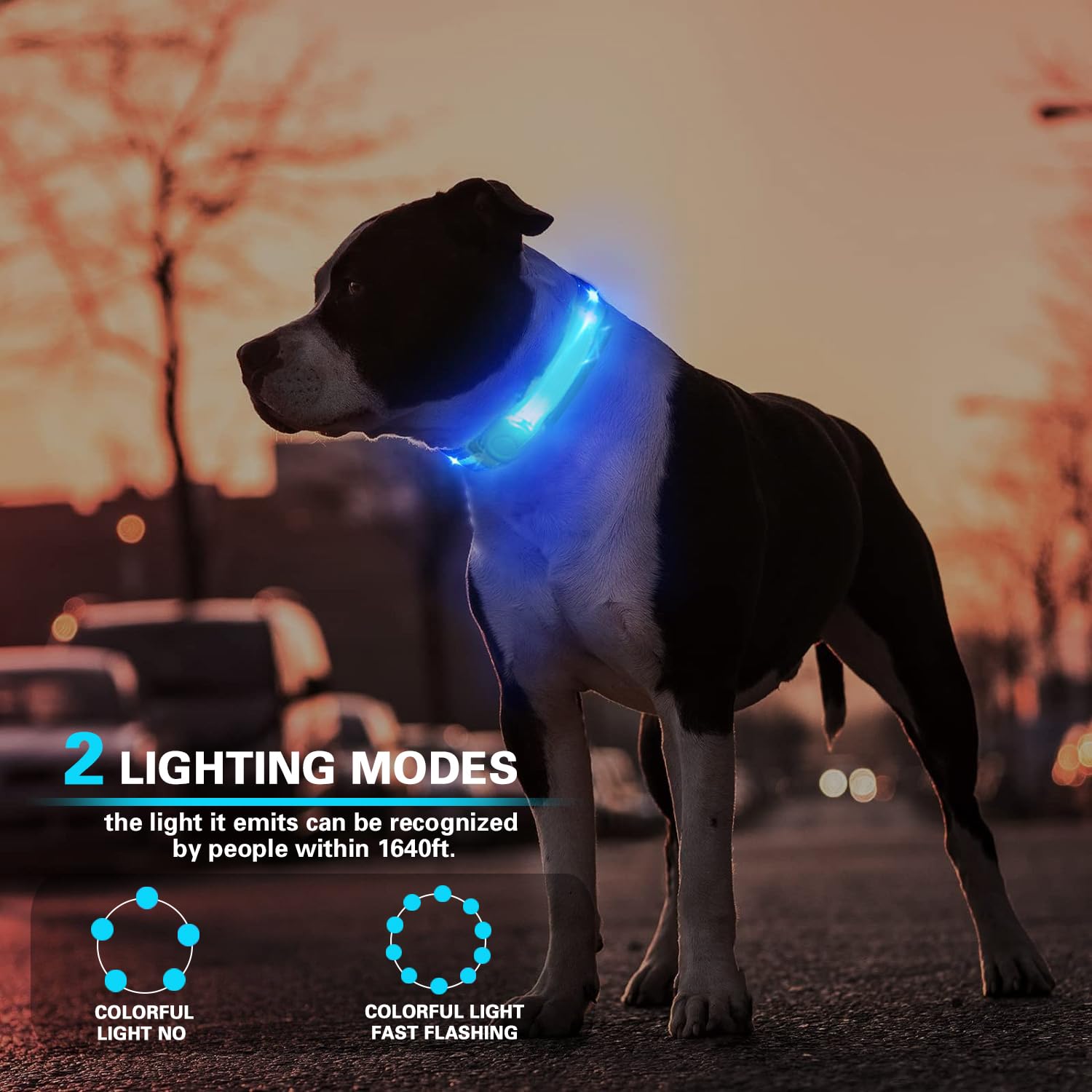 2 Pack LED Light for Dog Leash Harness, Light Up Dog Collar with Nylon Stickers, Waterproof Glow Light Easy to Attach to Collar Leash and Harness, Safety LED Light Up Band for Dogs at Night Walking