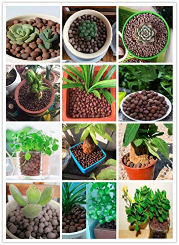 4L(2.75LBS) Expanded Clay Pebbles Hydroponic Gardening Leca Clay Grow Media for Orchids,Aquaponics, Aquarium Fish Tank Substrate,8-14mm