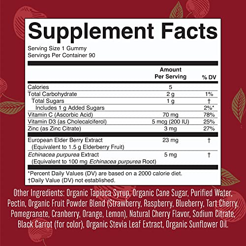MaryRuth's Immune Support Elderberry Gummies with Echinacea | Vitamin C and Zinc for Adults & Kids | Immune Defense Gummy Vitamins | Cherry | Vegan | Non-GMO | 2 Pack | 90 Count