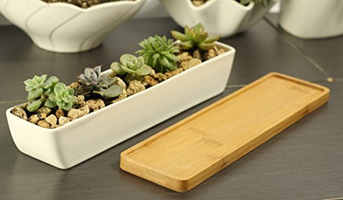 11inch Long Rectangle White Ceramic Succulent Planter Pots/Mini Flower Plant Containers with Bamboo Saucers. Product Size:11x2.36x1.77inch,not Include The Plant. (Long Rectangle)