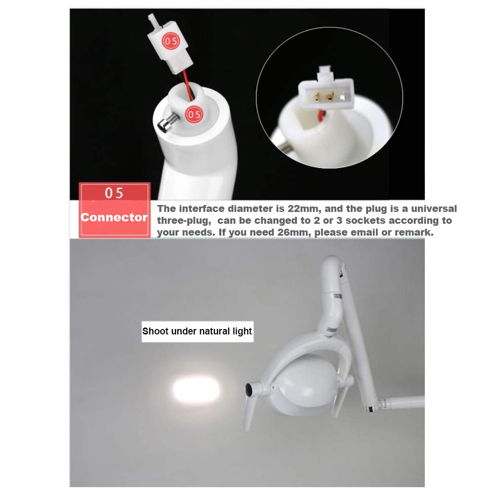 15W Induction Light Dental LED lamp AC/DC 12-24V Dental Oral Lamp for Dental Chair Unit, Pet Surgery Lamp(22mm Connector)
