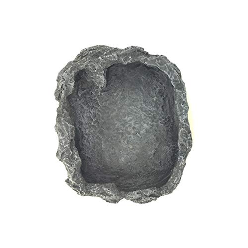 Shelltech Reptile Water Dish Food BowlTerrarium Bowl for Tortoise Frog Snake Gecko Lizard Spider Chameleon Scorpion (5.7" L x 4.7"W x 1.3" H)