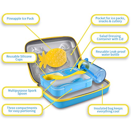 COO&KOO Shark Lunch Bag Lunch Box Set, Include 3D Insulated Cooler Bag & Leakproof Water Bottle Pineapple Ice Pack Multipurpose Spork Spoon Silicone Cups Salad Box, Great for School Girls or Boys