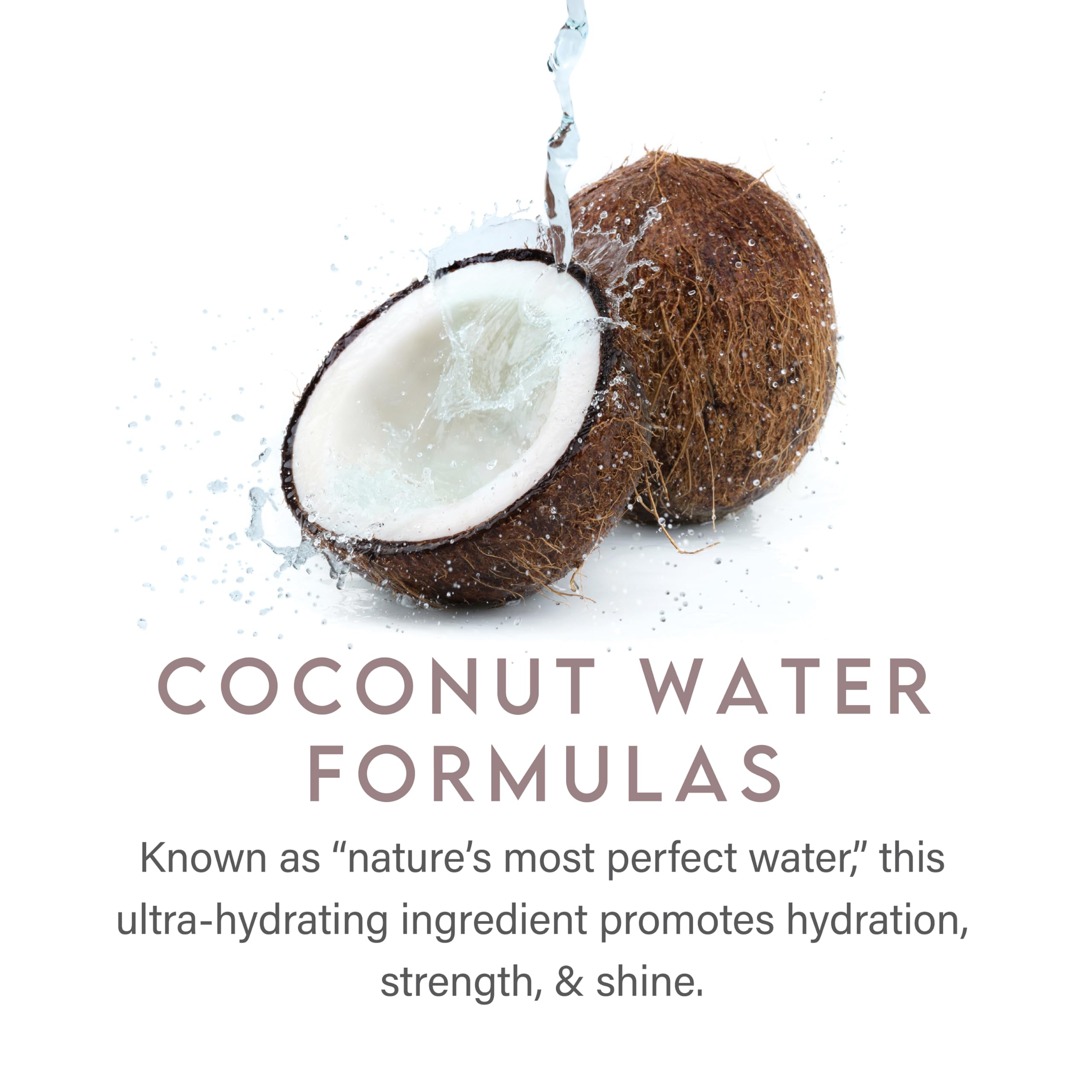 ALURAM Moisturizing Body Lotion, Hydrating Coconut Water & Squalane Cream Moisturizer for Soft Skin, Vegan, 18 Fl Oz
