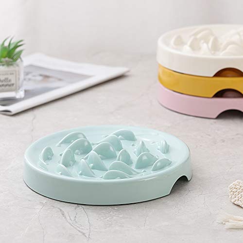 Slow Feeder Cat Bowl,Melamine Fun Interactive Feeder Bloat Stop Puzzle Cat Bowl Preventing Feeder Anti Gulping Healthy Eating Diet Pet Dog Slow Feeding Bowls Against Bloat, Indigestion and Obesity