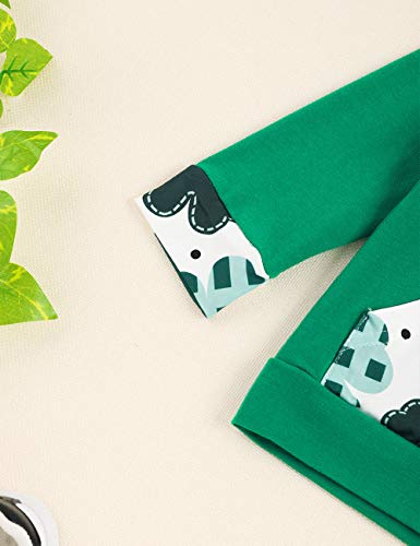 Baby Boy Girl St. Patrick's Day Clothes Four Leaf Clover Print Hoodie Sweatshirt and Pant St. Patrick's Day Outfits