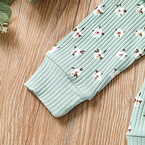 Kids Baby Girl Floral Clothes Set Ruffle Long Sleeve Pullover Tops + Bowknot Pants 2PCS Girls Outfits (Green, 2-3T)